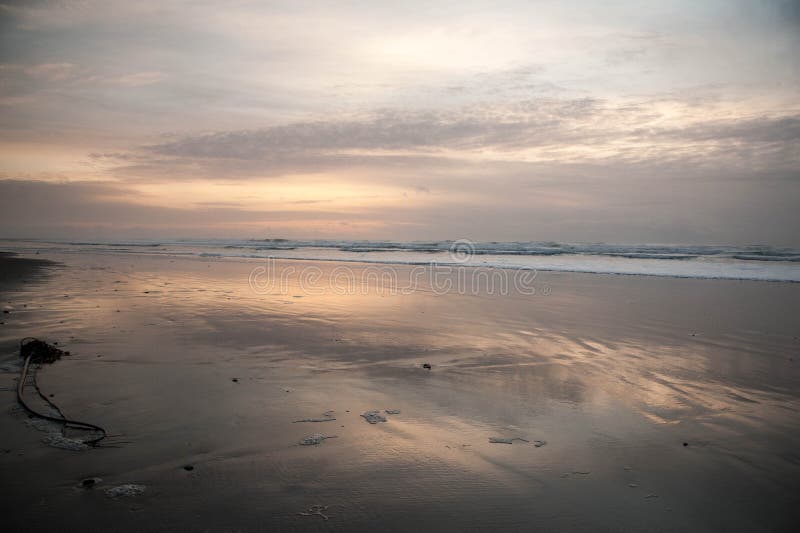 Stream meets Ocean stock image. Image of calm, light - 49033499