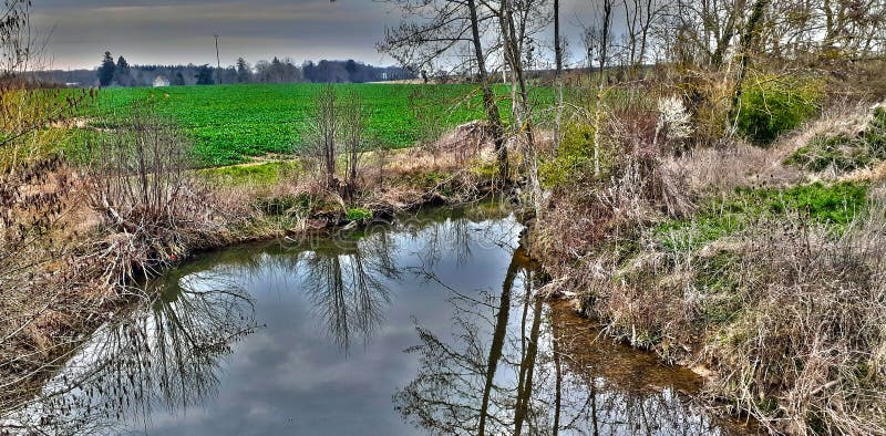 Stream in the Middle of the Fields Stock Photo - Image of vegetation ...