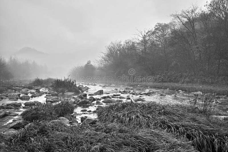 Stream in the morning stock photo. Image of flow, canal - 18521894
