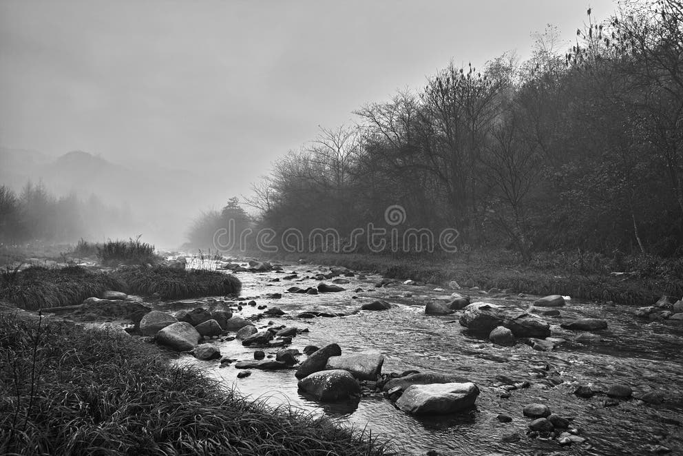 Stream in the Morning, Black and White. Stock Image - Image of fairy ...