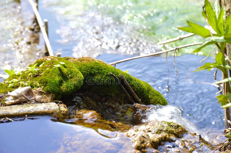 Stream and moss stock image. Image of nature, watter - 183189903