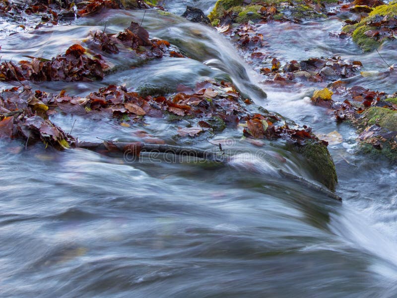 Stream Moss, Silk Effect stock photo. Image of awesome - 131200226