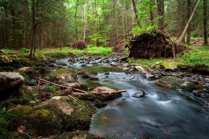 Stream Motion Blur stock image. Image of natural, shutter - 203608975