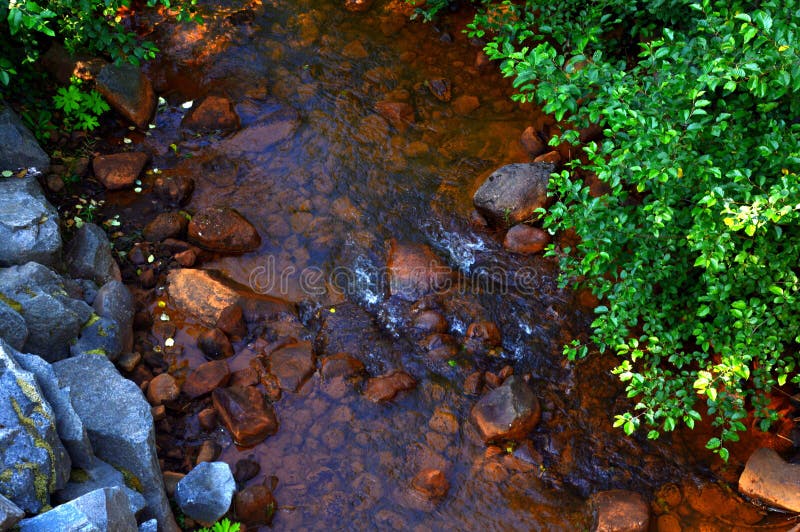 Stream in Mount Rainier National Park, Washington Stock Photo - Image ...
