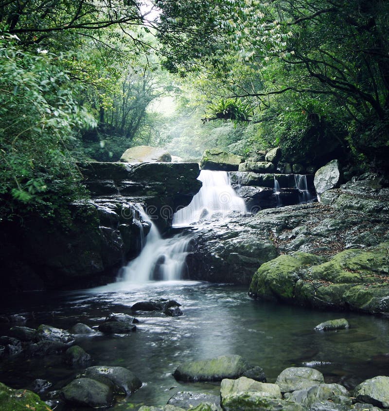 Stream in mountain stock image. Image of peace, leaf - 10602223