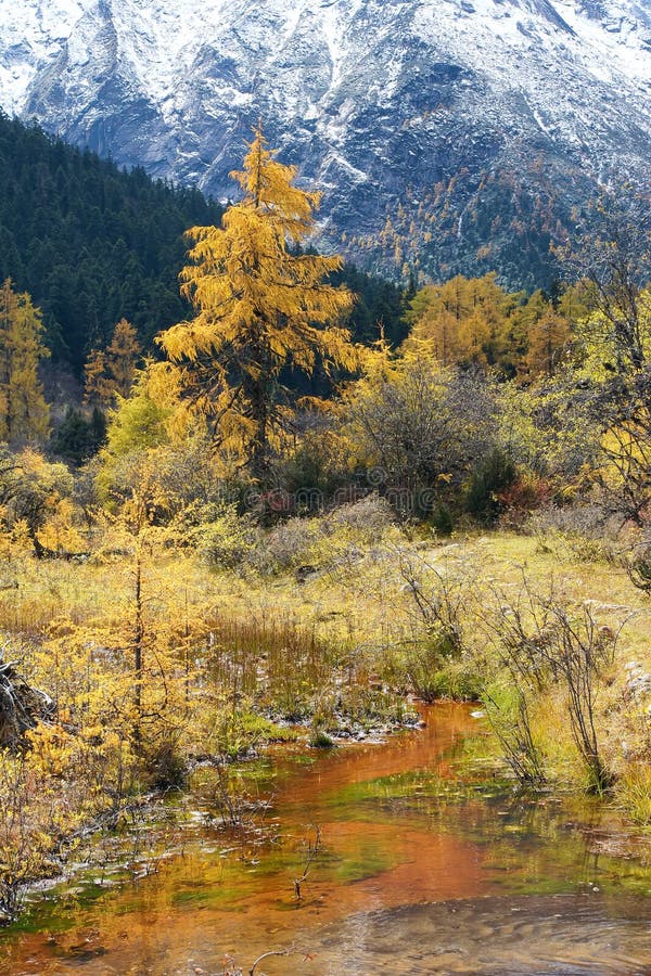 Stream and mountain stock photo. Image of stream, rocks - 27301484