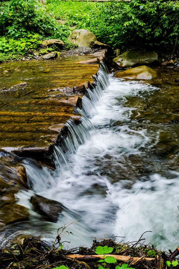 Stream of a Mountain Brook in the Carpathians Stock Image - Image of ...