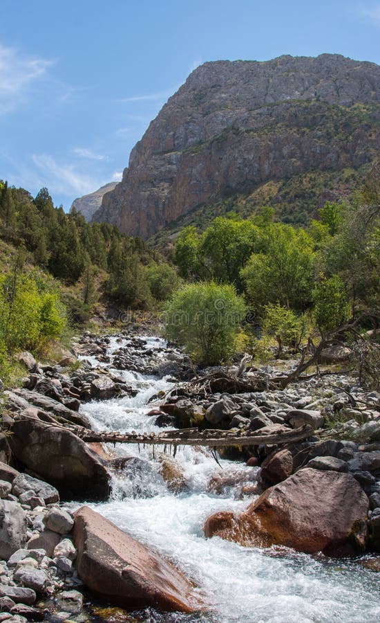 Stream of a mountain river stock image. Image of branch - 98333509