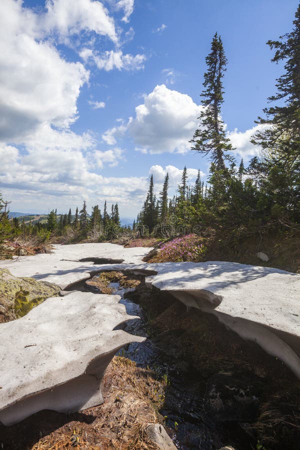 Stream in the Mountain Shoria Stock Image - Image of siberia, shoria ...