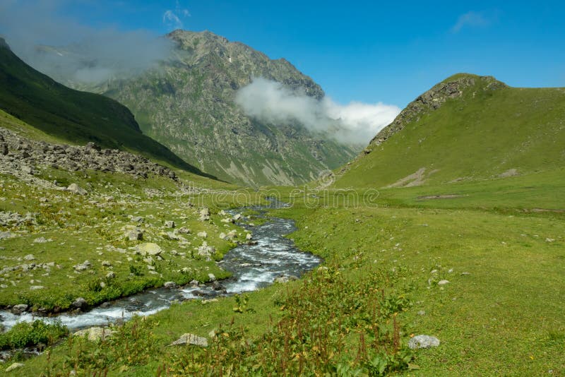 Stream in a Mountain Valley Stock Photo - Image of tourism, nature ...