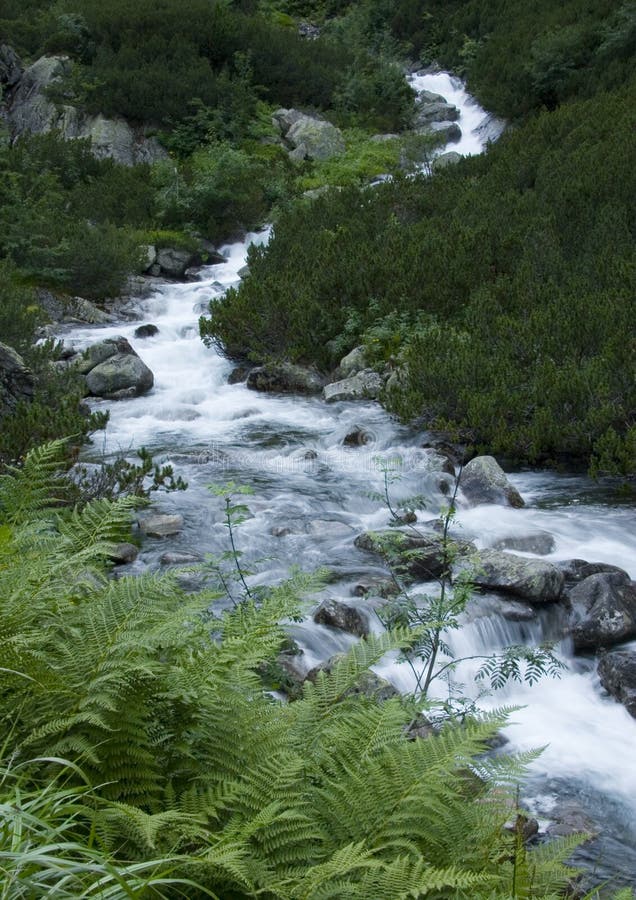 Stream in mountains stock image. Image of mountain, nature - 2134087