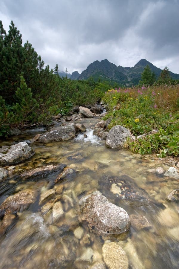 Stream in Mountains stock photo. Image of slovakia, cloud - 6062146