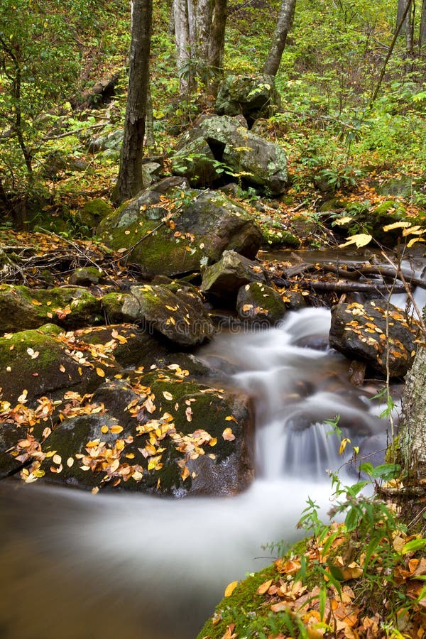 Stream in the Mountains stock image. Image of lush, country - 30675505