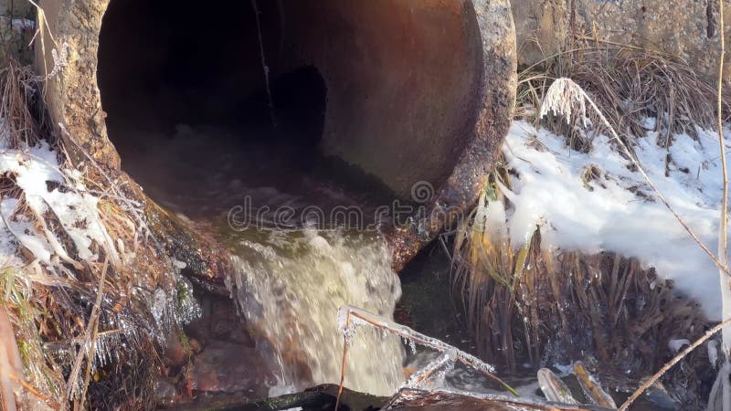 A Stream of Muddy Water Flows Out of a Cement Pipe, Urban Sewage System ...