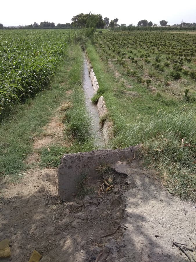 A stream stock photo. Image of farm, stream, small, fields - 122681712