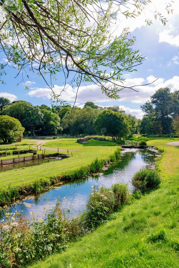Stream with nature stock image. Image of blue, park, cotswolds - 75606321