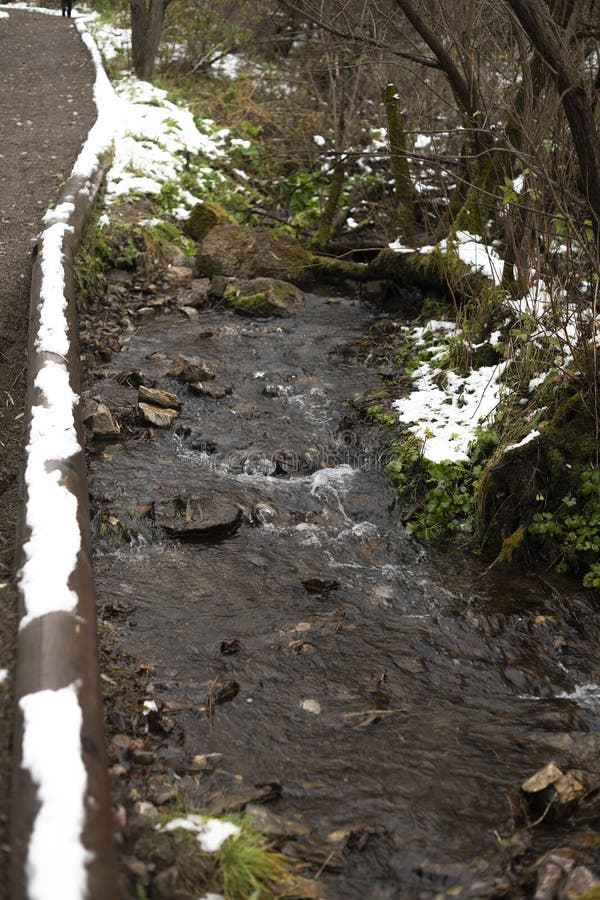 A Stream Near the Path in the Winter National Park. Stock Image - Image ...