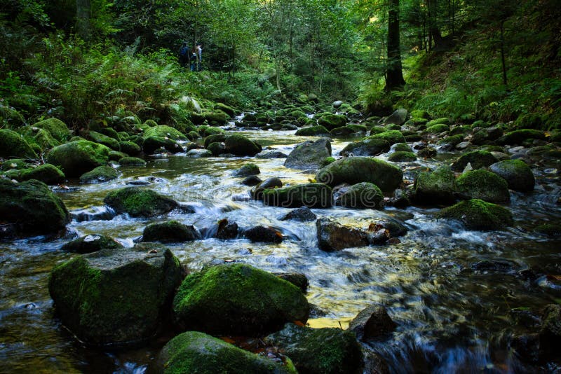 Stream Next To a Walking Path Near Baden Baden Stock Photo - Image of ...