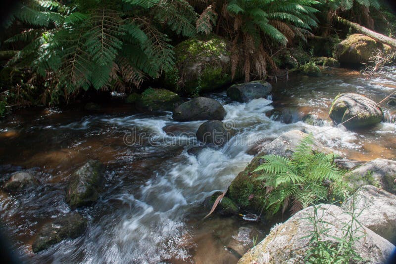 Stream over rocks stock image. Image of calm, australian - 84644007