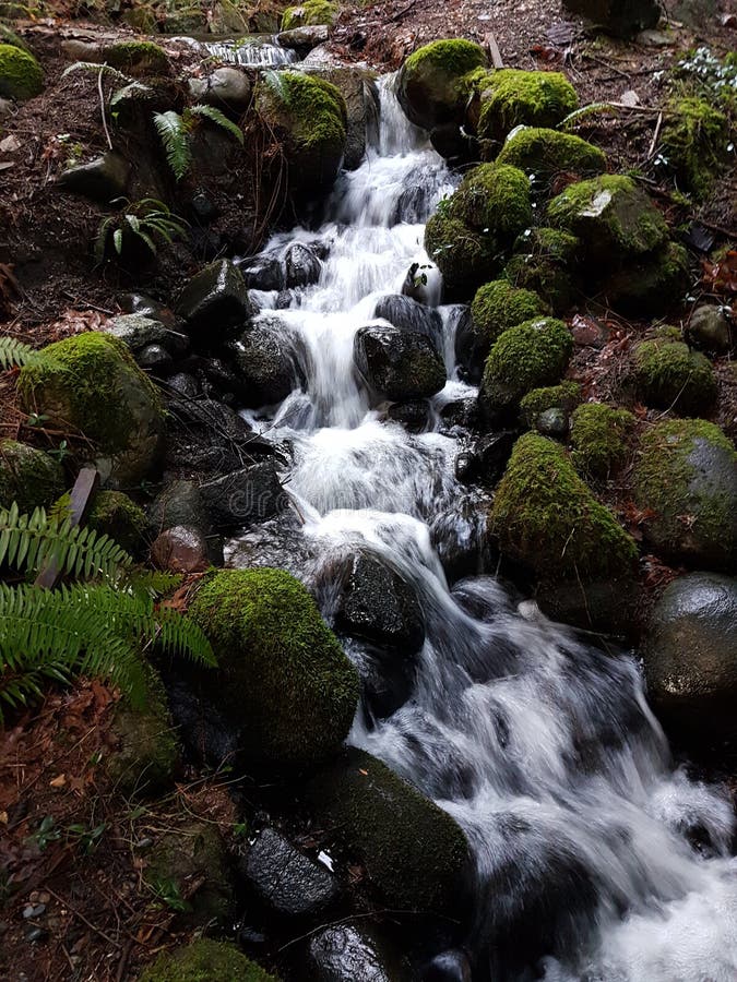 Stream over rocks stock image. Image of runs, rocks, canadian - 88706255