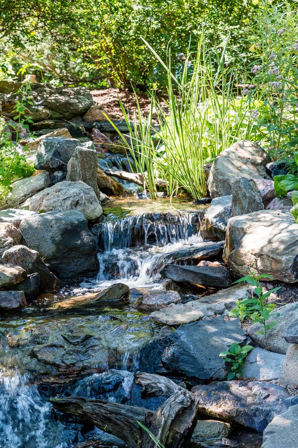 Pebbles in the Stream stock photo. Image of brook, forest - 35609584