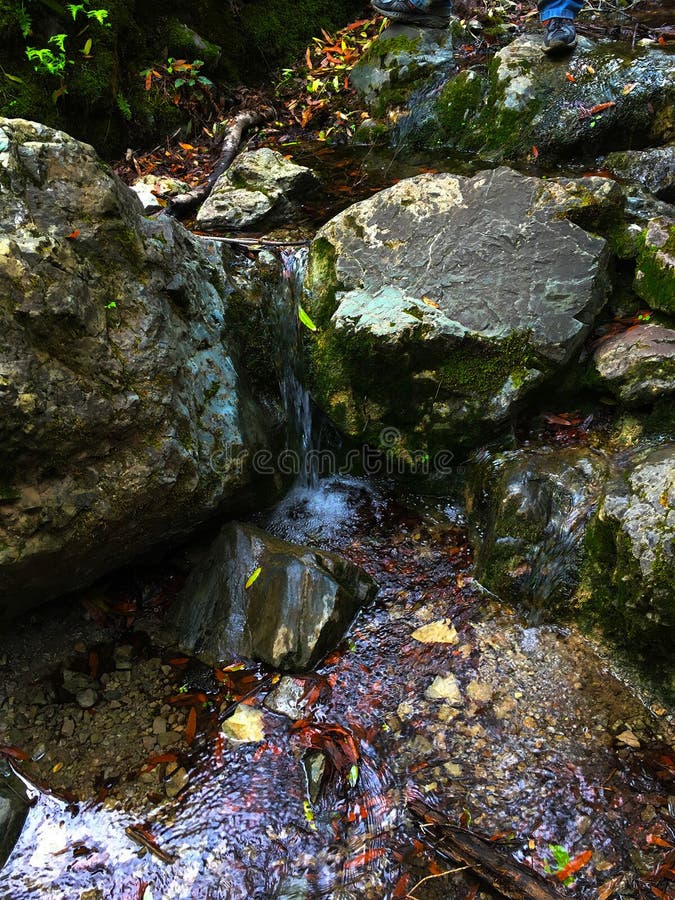 Stream over rocks stock photo. Image of growing, california - 78177106