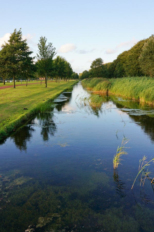 Stream in the park stock photo. Image of grass, water - 27116868