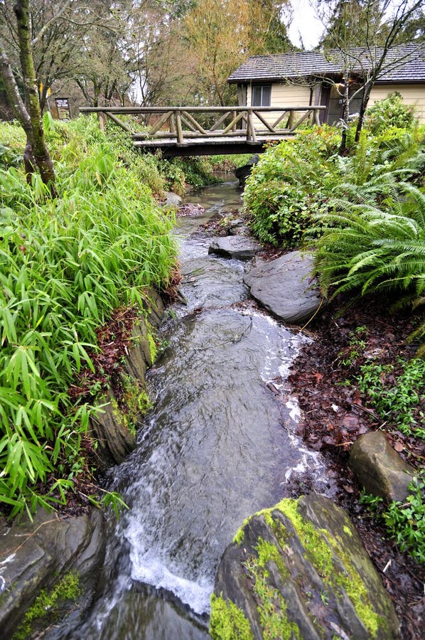 Stream in a park stock image. Image of rock, wall, grass - 28672785