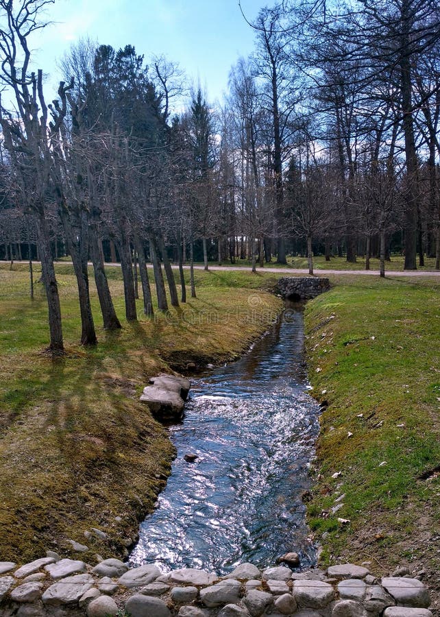 Stream in the park. stock image. Image of park, transparent - 104163241