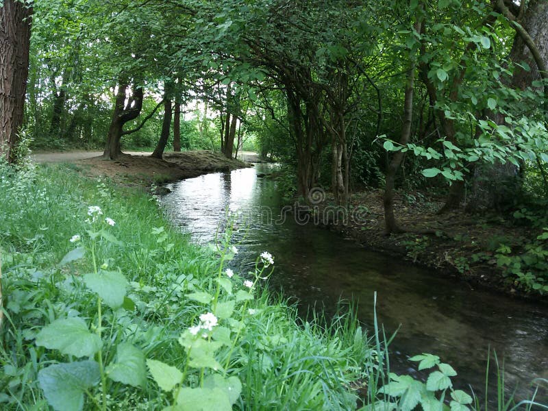 Stream in the Park.. Green. Summer Stock Photo - Image of summer, park ...