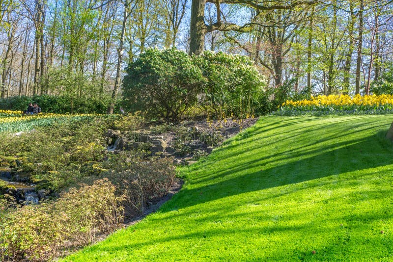 Stream in the Park on a Sunny Day Stock Photo - Image of lake, mountain ...
