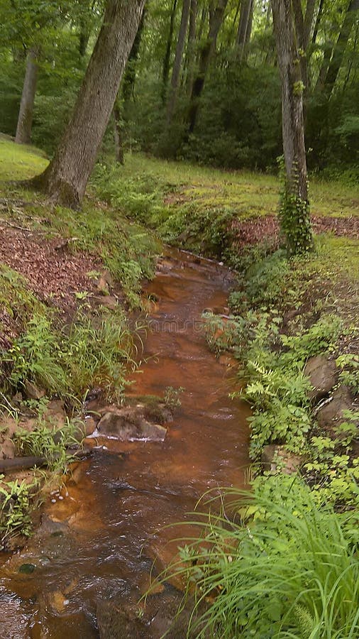 Stream on a path stock photo. Image of lovely, stream - 152971056