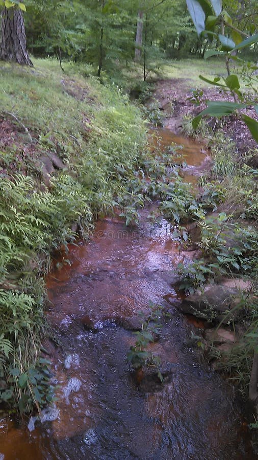 Stream on a path stock photo. Image of lovely, stream - 152971056