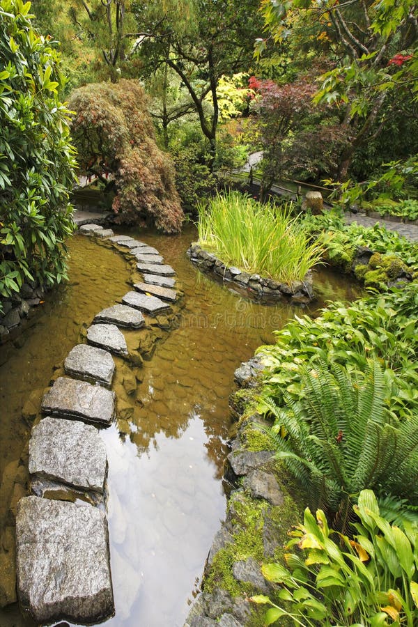 A Stream and Path from Stones Stock Image - Image of conservation, lush ...