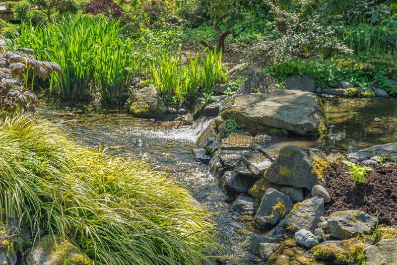 Stream and Plants Landscape Stock Image - Image of landscape, scenic ...