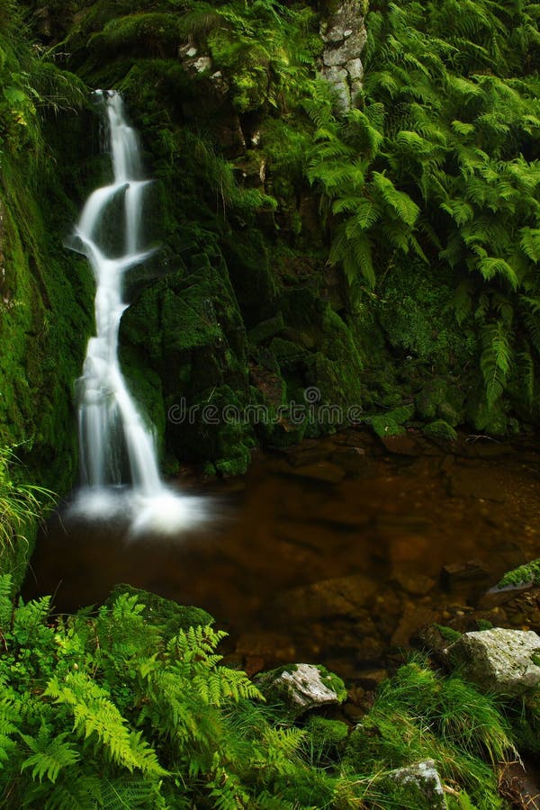 Stream Pool in Giant Mountains Stock Image - Image of grass, moss: 1005397