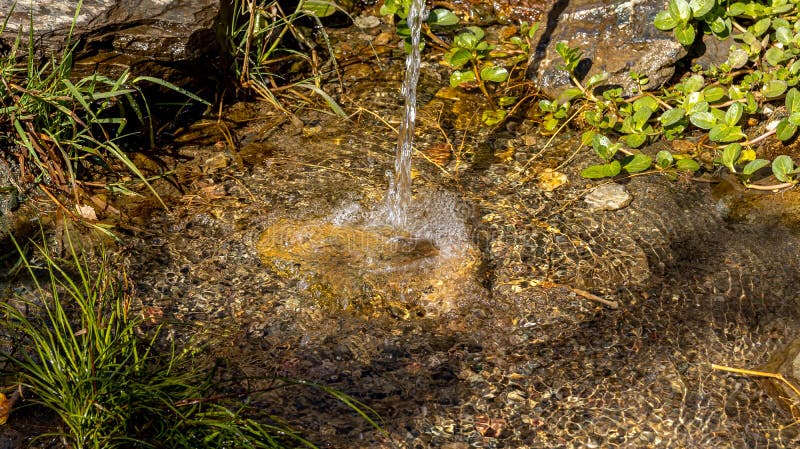 A Stream of Pure Spring Water Surrounded by Green Leaves Stock Image ...