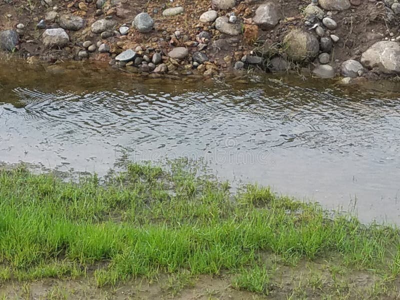 Little Stream stock image. Image of water, creak, stream - 137398533