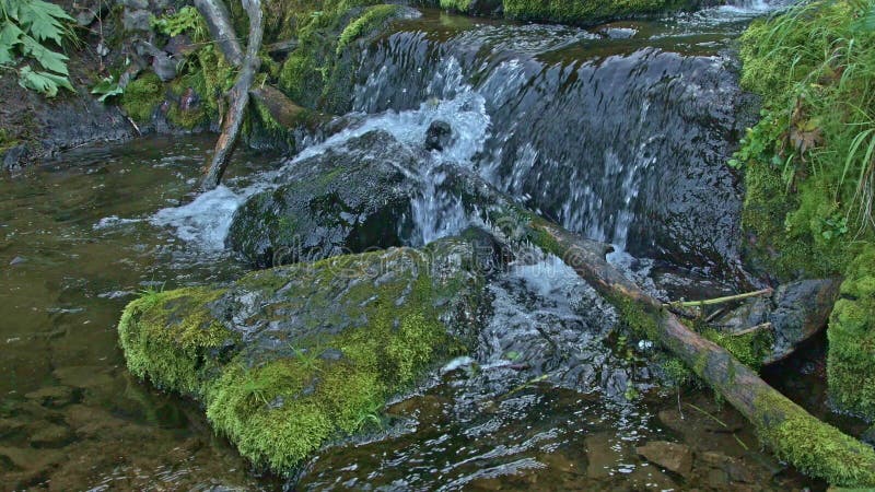 Stream in Rainforest. Water Cascades Down on Boulder Stock Video ...