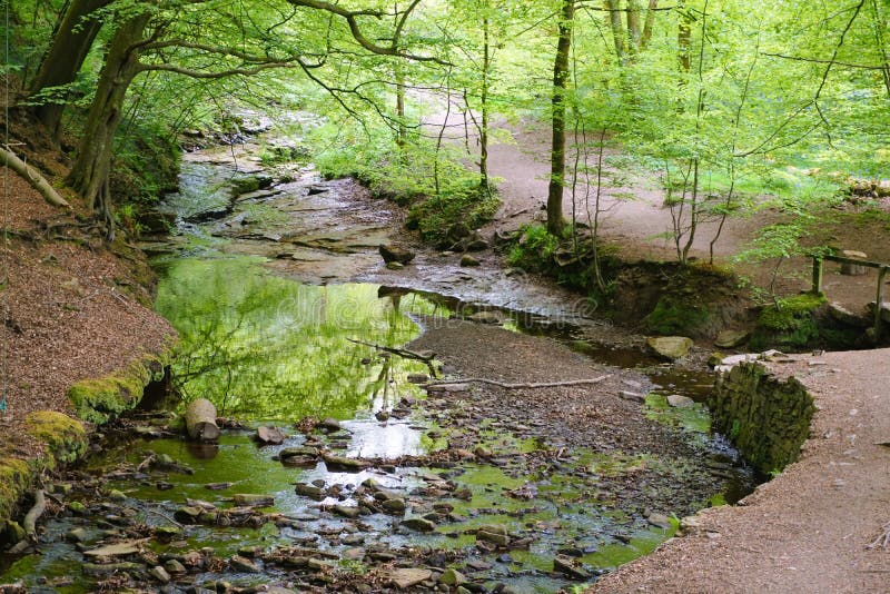 Stream with reflection. stock photo. Image of woods, streams - 92971990