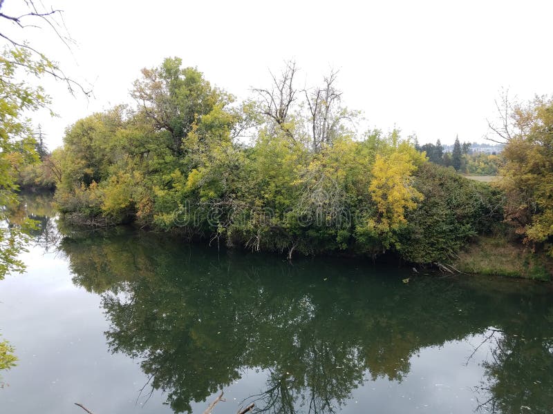 Stream or River with Reflection and Green Trees Stock Image - Image of ...