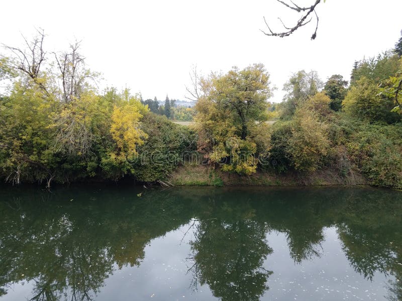 Stream or River with Reflection and Green Trees Stock Photo - Image of ...