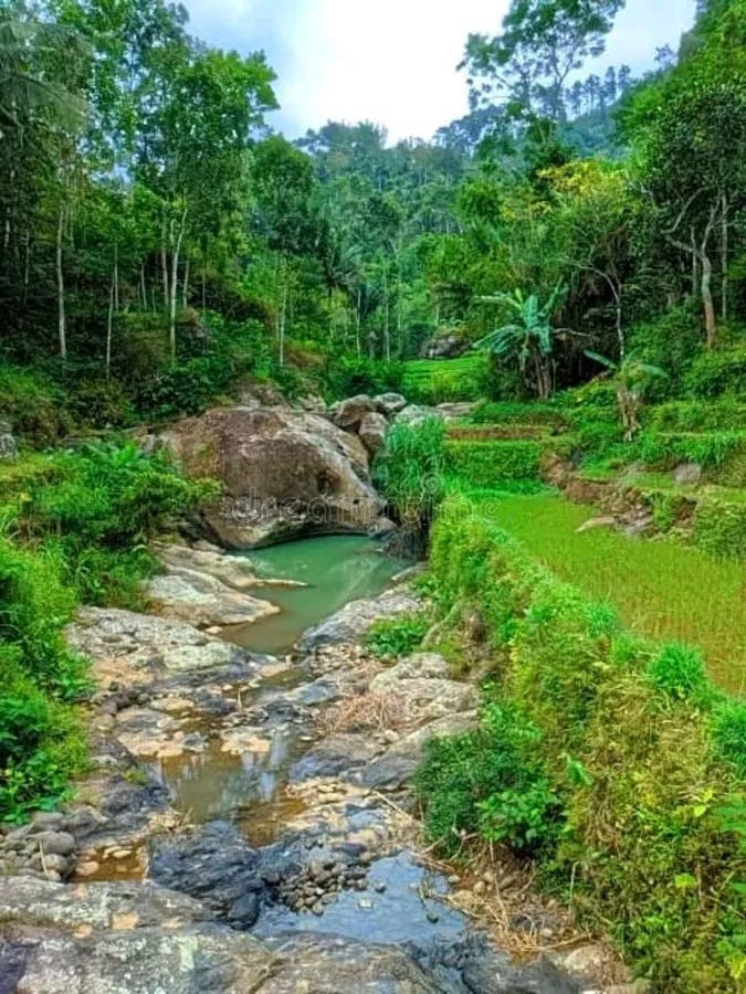 River with Vegetation on the Banks, Crystal Clear and Shallow Waters ...