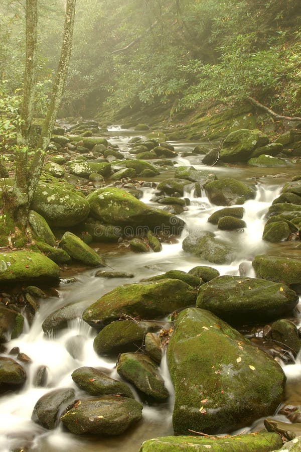 Mountain Stream stock image. Image of rock, tree, brook - 685159