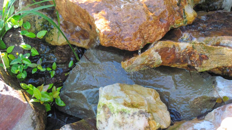 Stream stock photo. Image of green, rock, beautiful, nature - 88909282