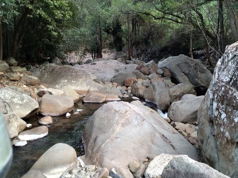 Stream on red rock stock photo. Image of wilderness - 223604172