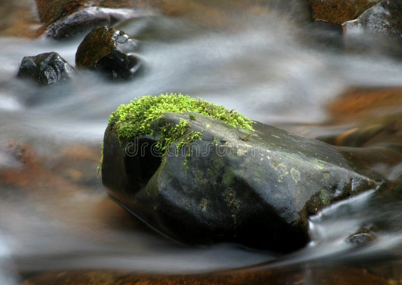 Stream and Rocks stock photo. Image of fall, moss, water - 1878604