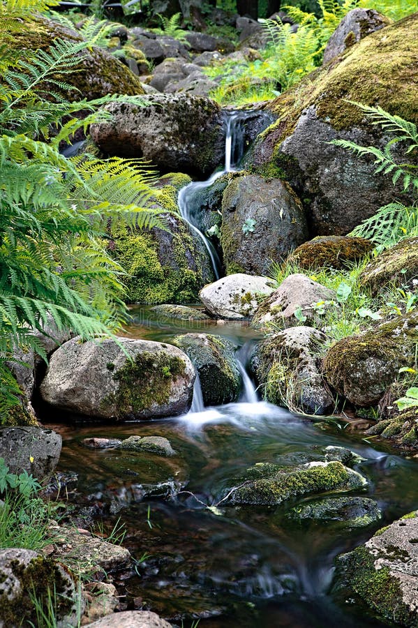 Stream with rocks stock photo. Image of summer, stream - 27556552