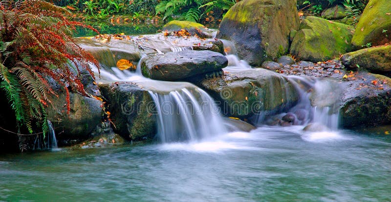 Stream and rocks stock image. Image of stream, running - 4996609