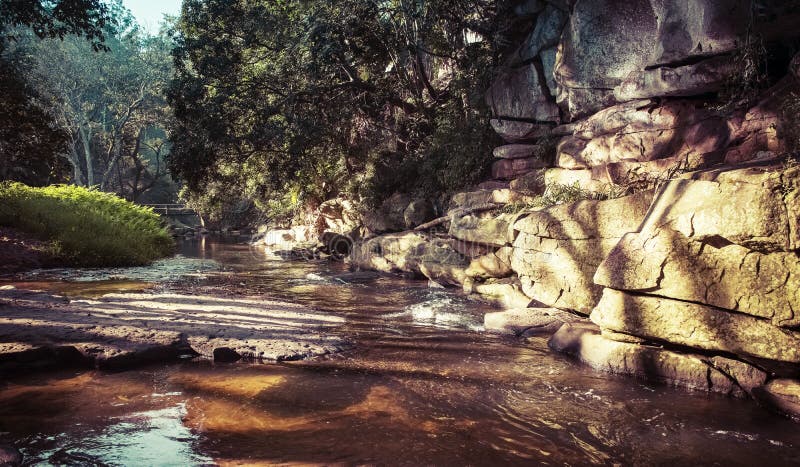 Stream, Rocks and Forest Background Photo Stock Image - Image of river ...
